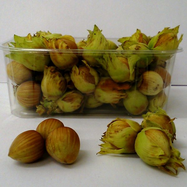 Roughway Farm | Online Fresh Produce | Kent Cobnuts