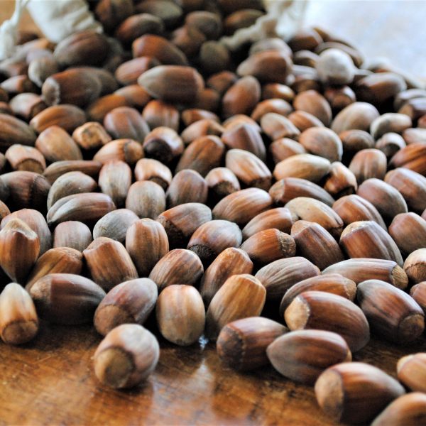 Roughway Farm | Online Fresh Produce | Kent Cobnuts