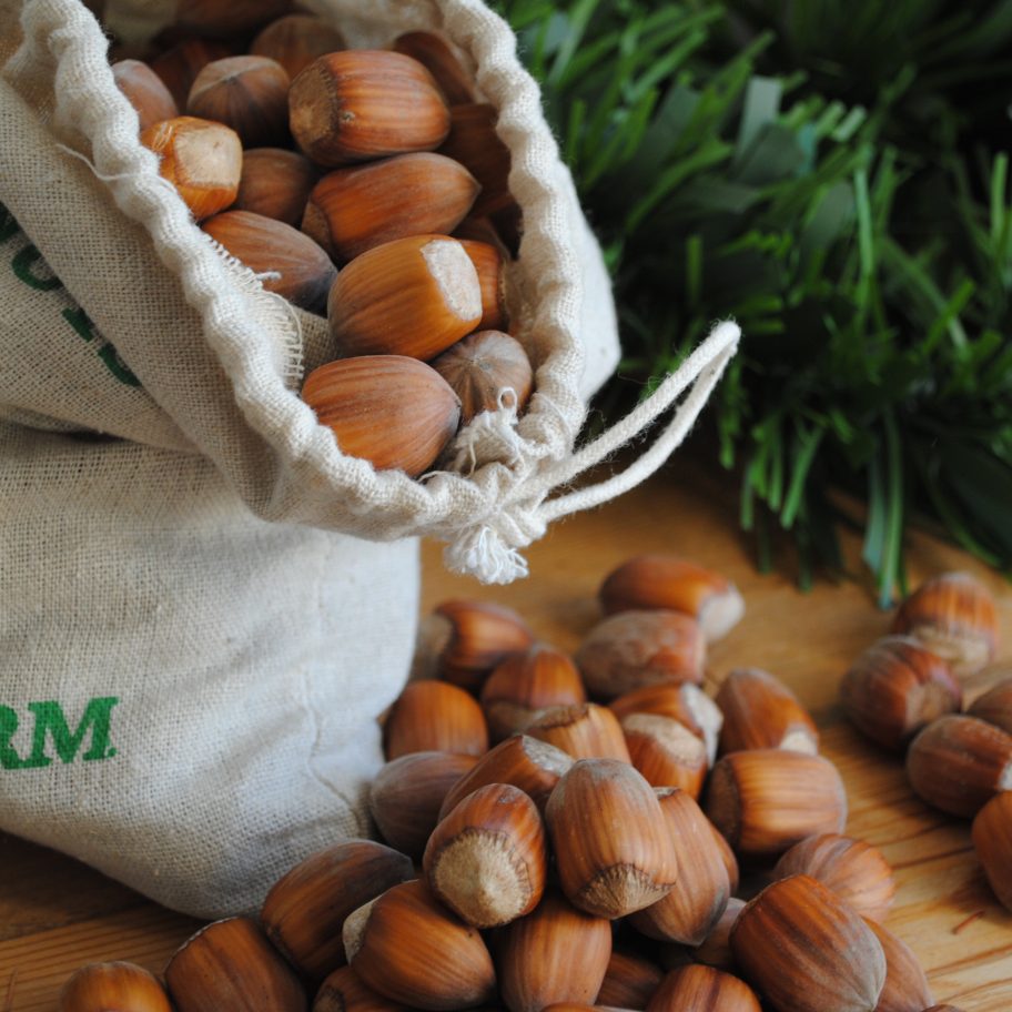 Roughway Farm | Kent Cobnuts