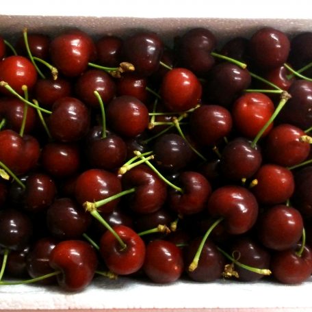 Roughway Farm | Online Fresh Produce | Kent Cobnuts