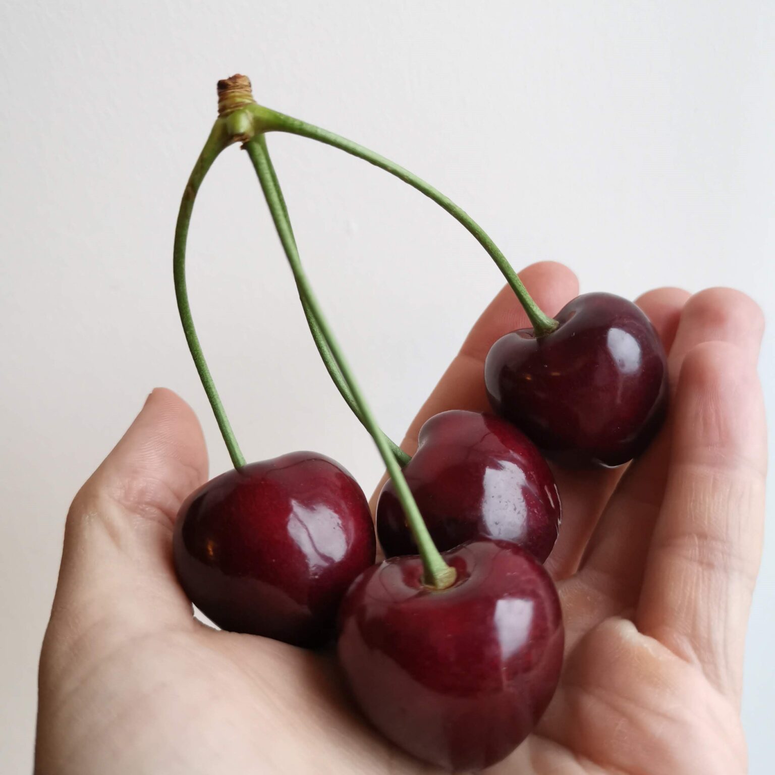 Roughway Farm | Online Fresh Produce | Kent Cobnuts