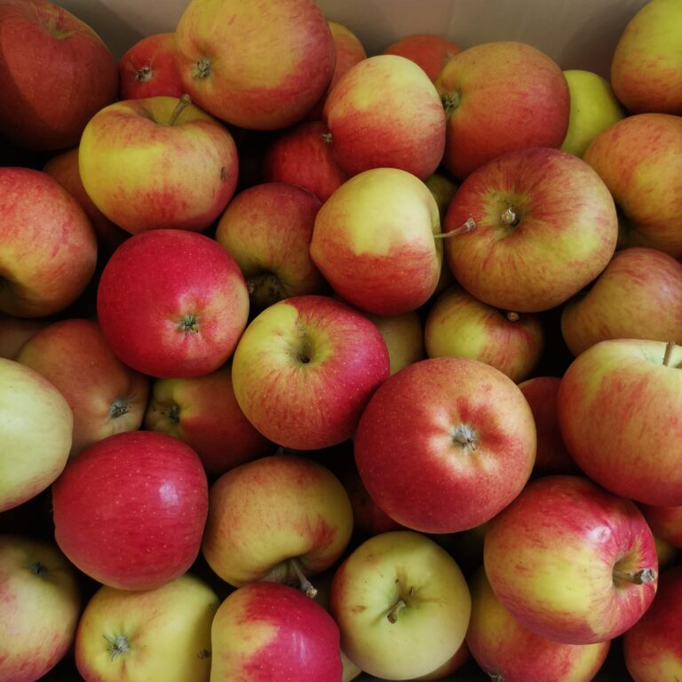 Roughway Farm | Online Fresh Produce | Kent Cobnuts