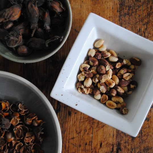 Roughway Farm | Kent Cobnuts FAQs