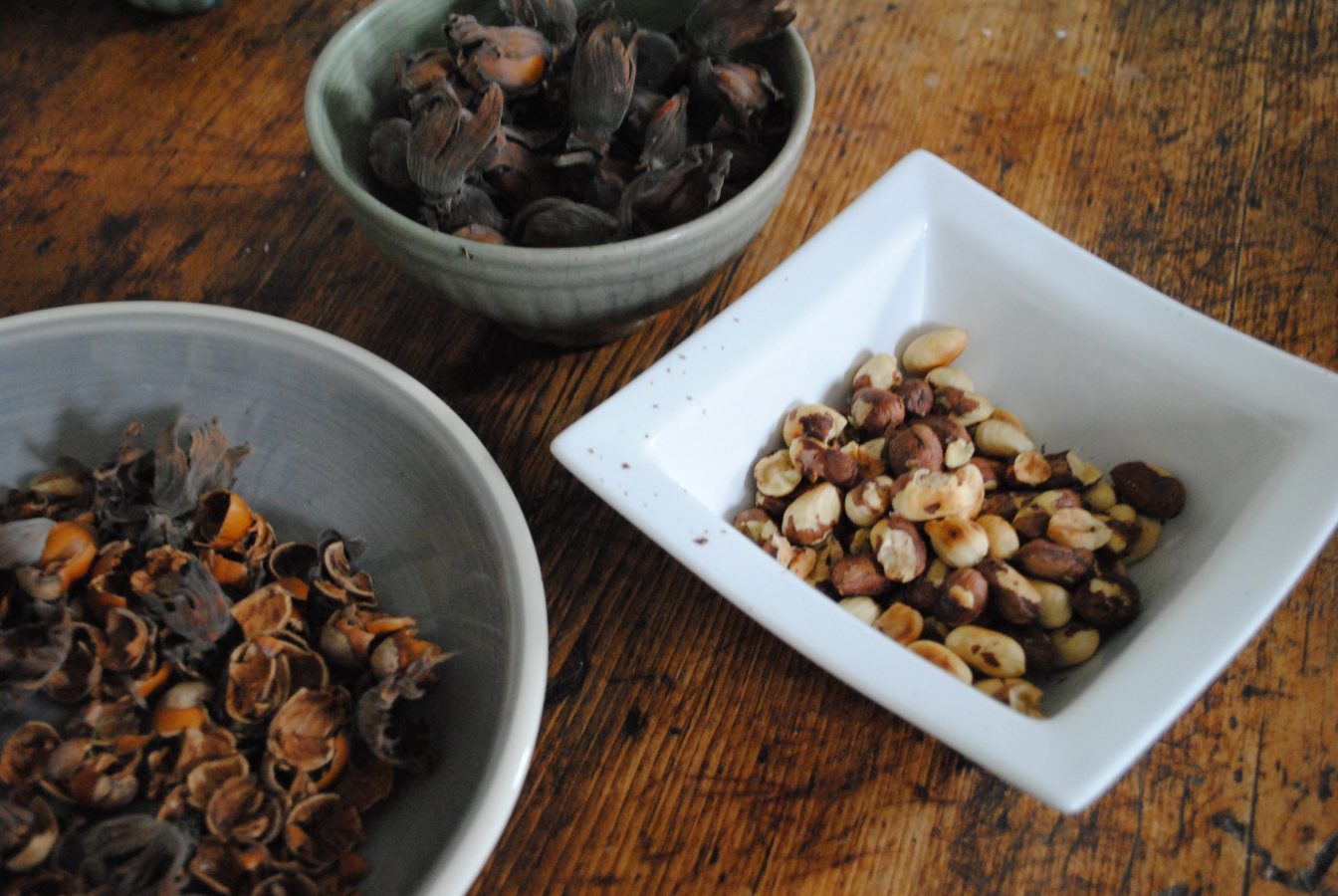 Roughway Farm | Online Fresh Produce | Kent Cobnuts