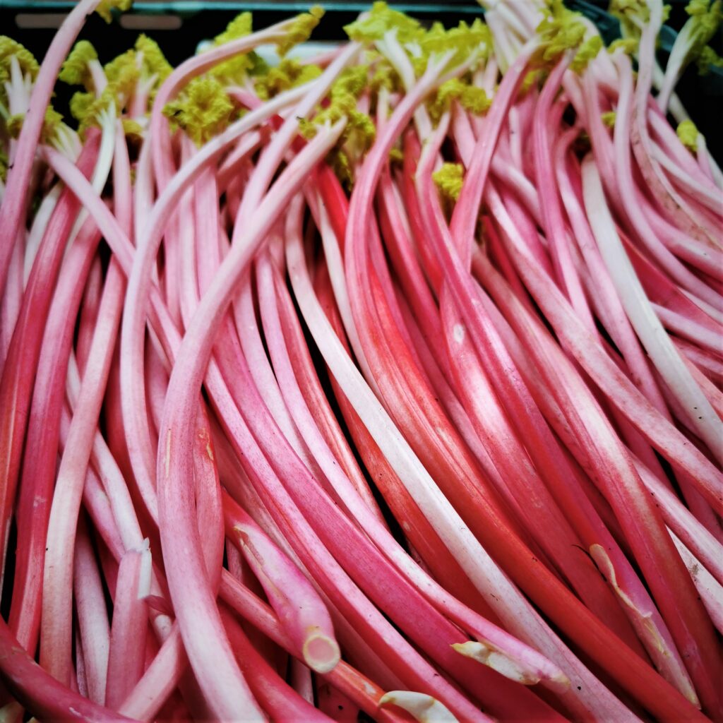 Roughway Farm | Online Fresh Produce | Kent Cobnuts