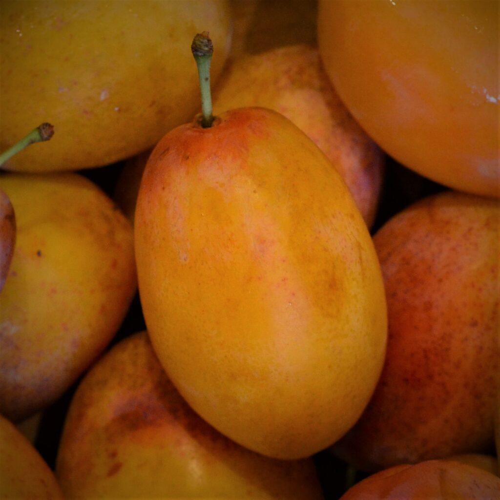 Roughway Farm | Online Fresh Produce | Kent Cobnuts