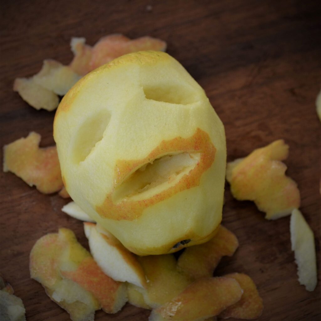 Roughway Farm | How to make Shrunken Apple Heads