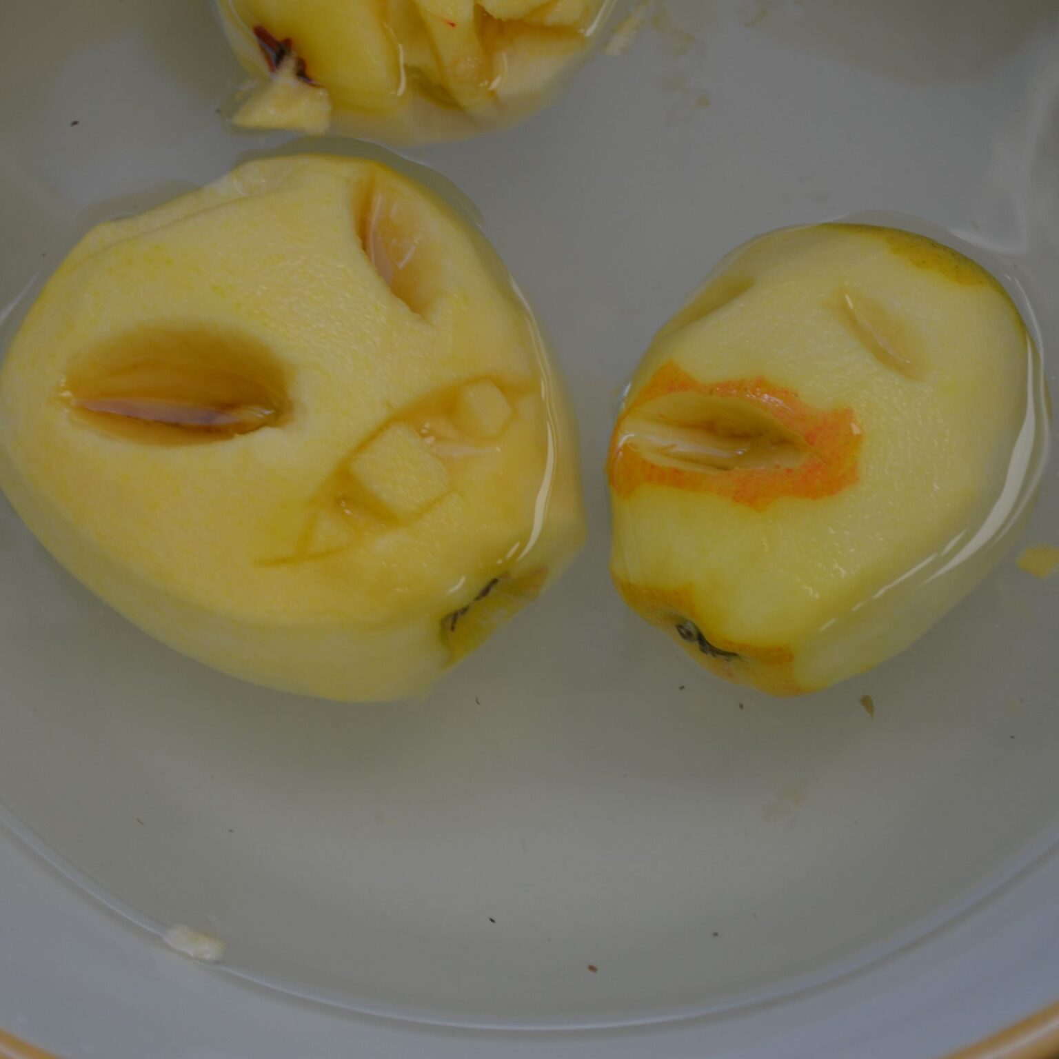 Roughway Farm | How to make Shrunken Apple Heads