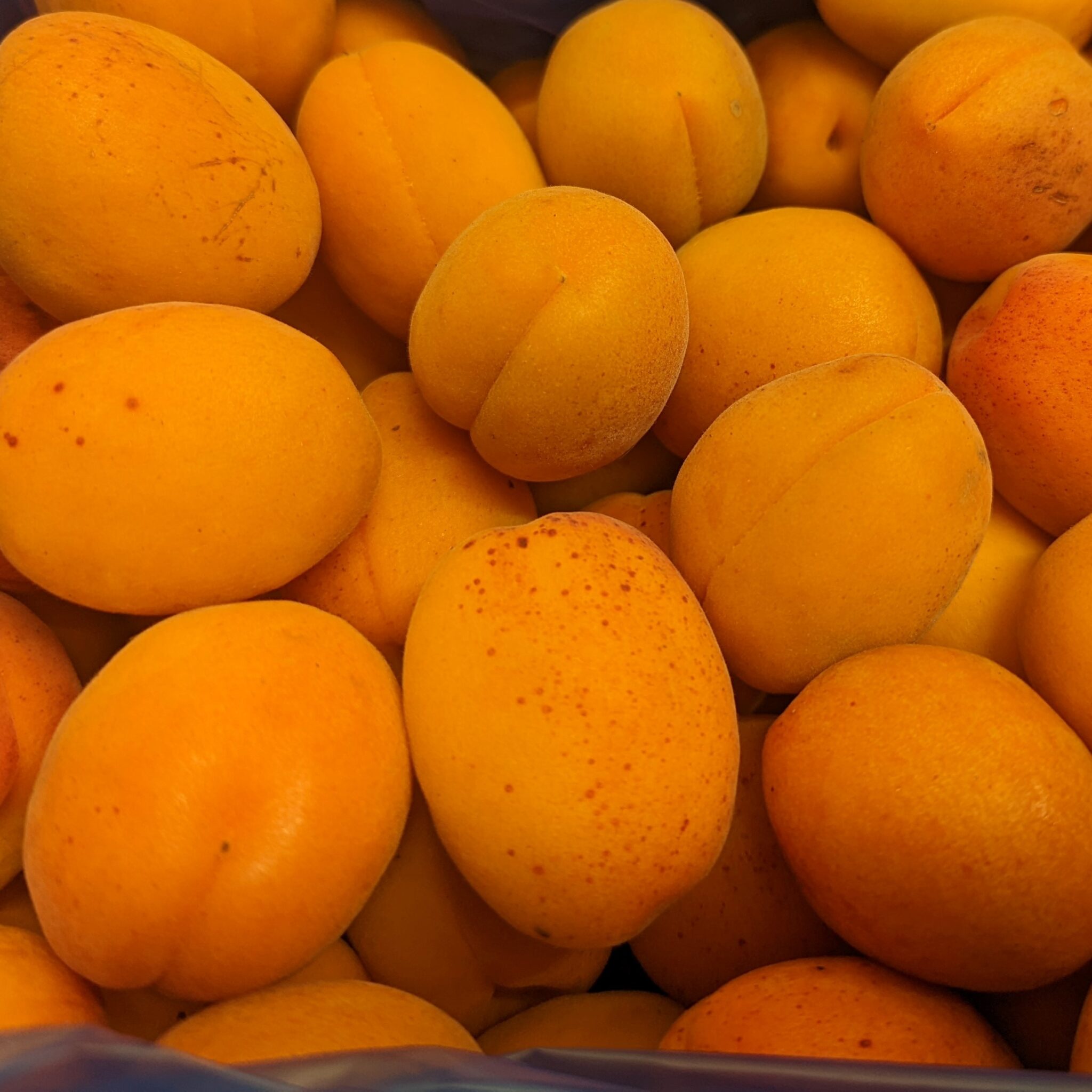 Roughway Farm | Online Fresh Produce | Kent Cobnuts