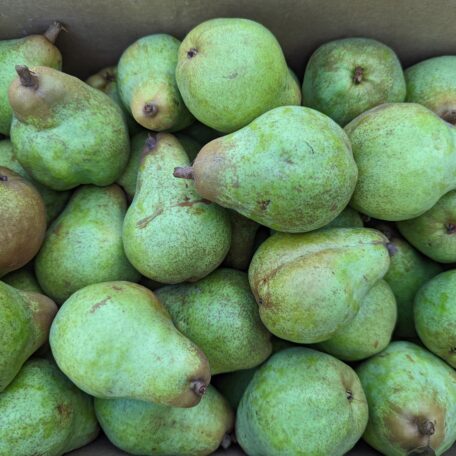 Roughway Farm | Online Fresh Produce | Kent Cobnuts