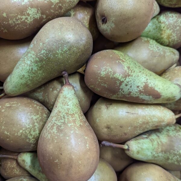 Roughway Farm | Online Fresh Produce | Kent Cobnuts