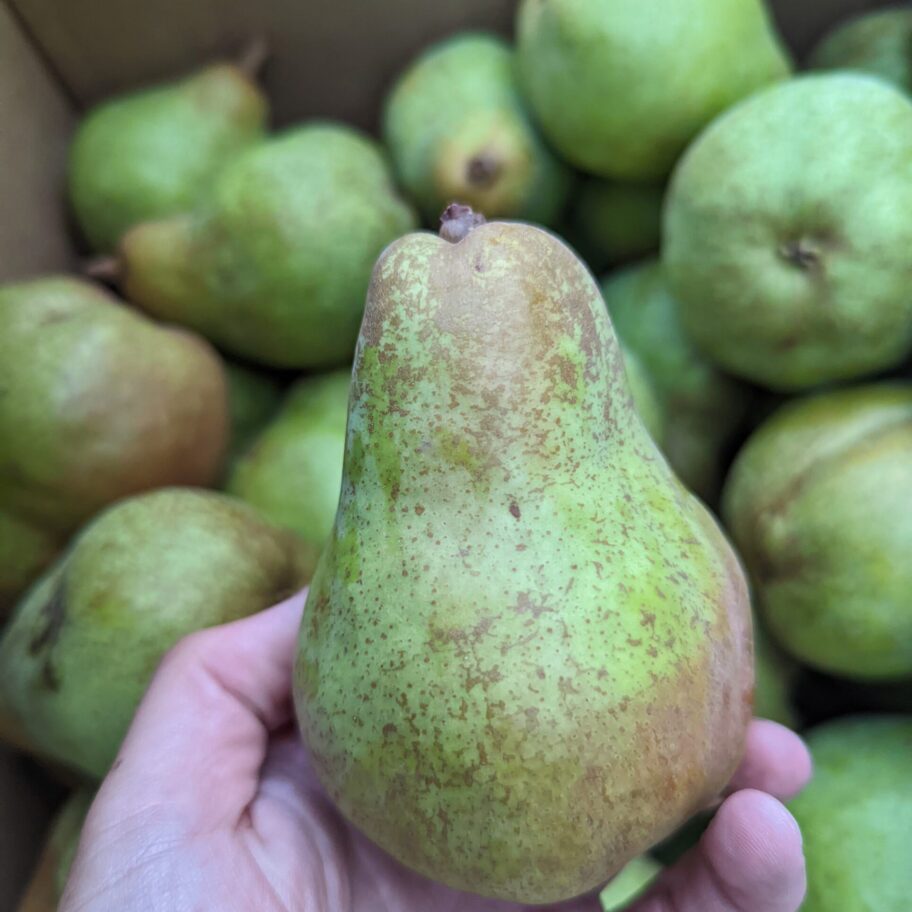 Roughway Farm | Online Fresh Produce | Kent Cobnuts